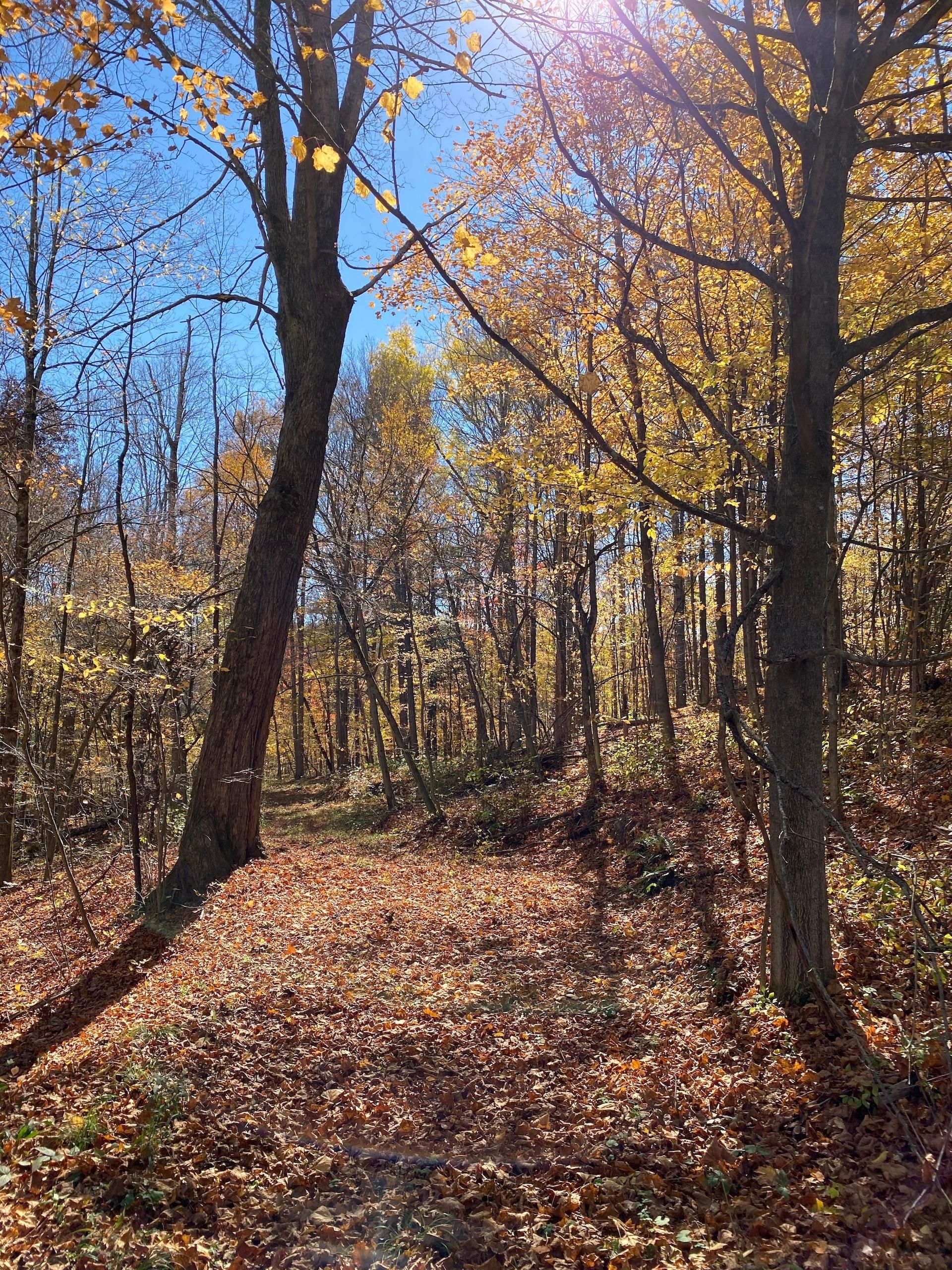 Aloe Road, Lot#WP001, Big Run, PA 15715 | LandWatch