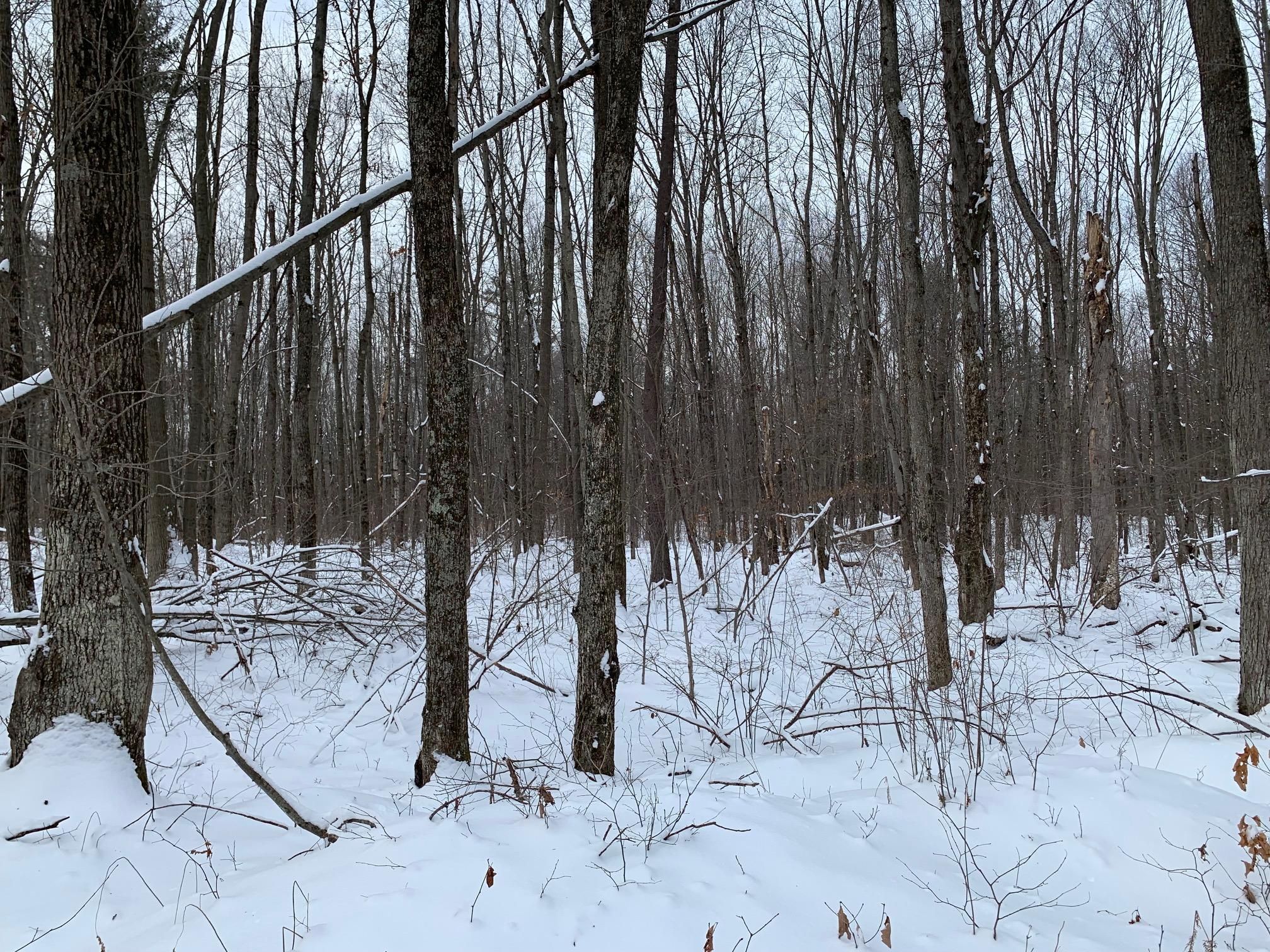 Wilderness Avenue, Thorp, WI 54771 | MLS: 22200047 | LandWatch