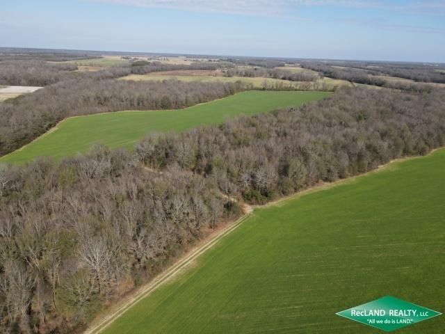 Earl Ezell Road, Crowville, LA 71230 | LandWatch