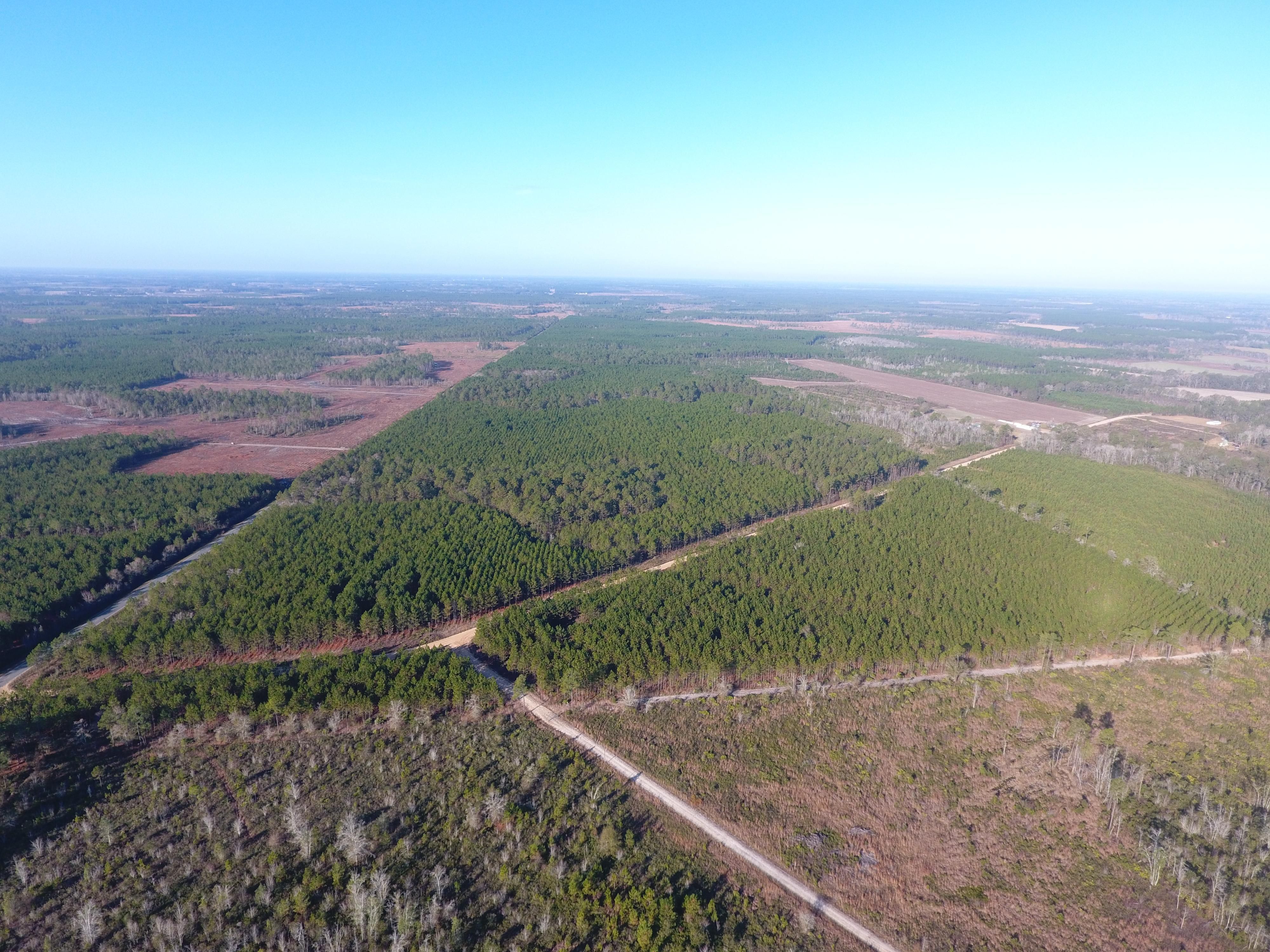 Scuffletown Highway, Mershon, GA 31551 | LandWatch
