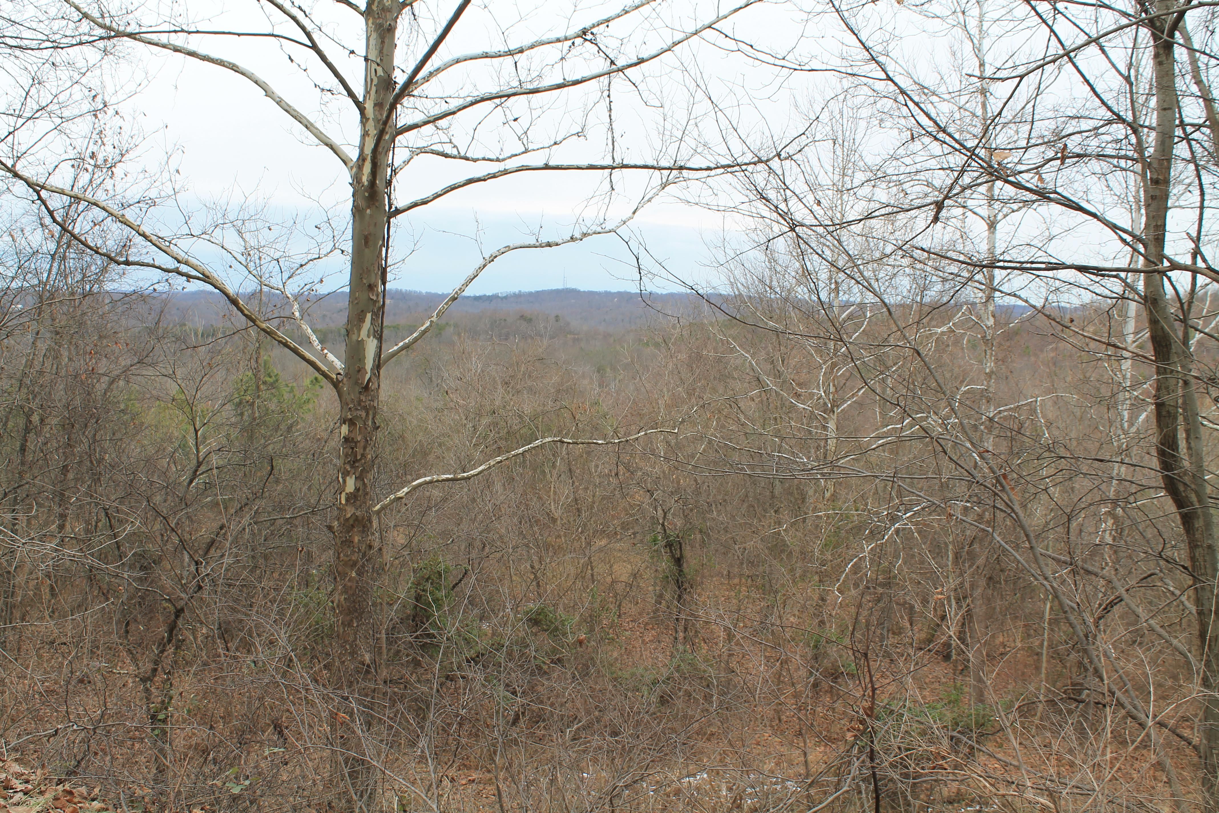 Walker, Wood County, WV Recreational Property, Timberland Property ...