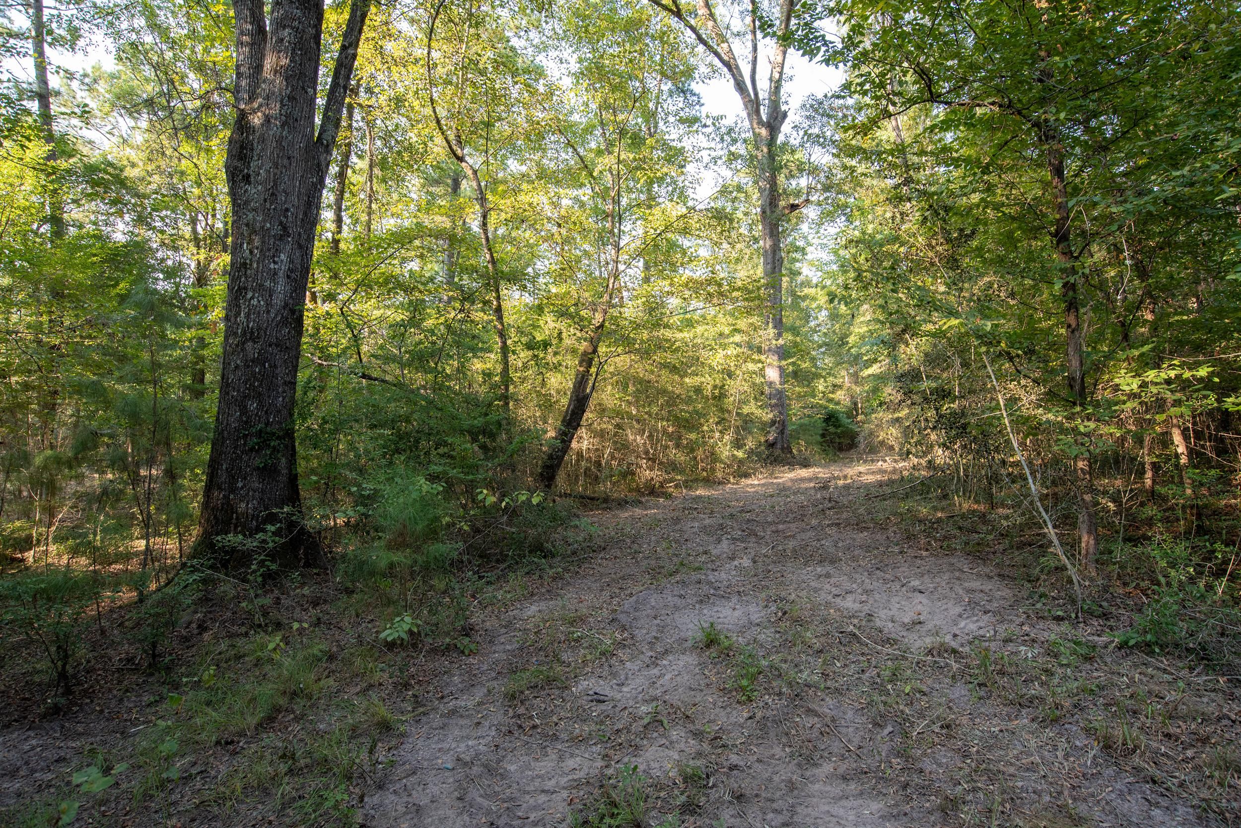 U. S. Highway 287, Chester, TX 75936 | LandWatch