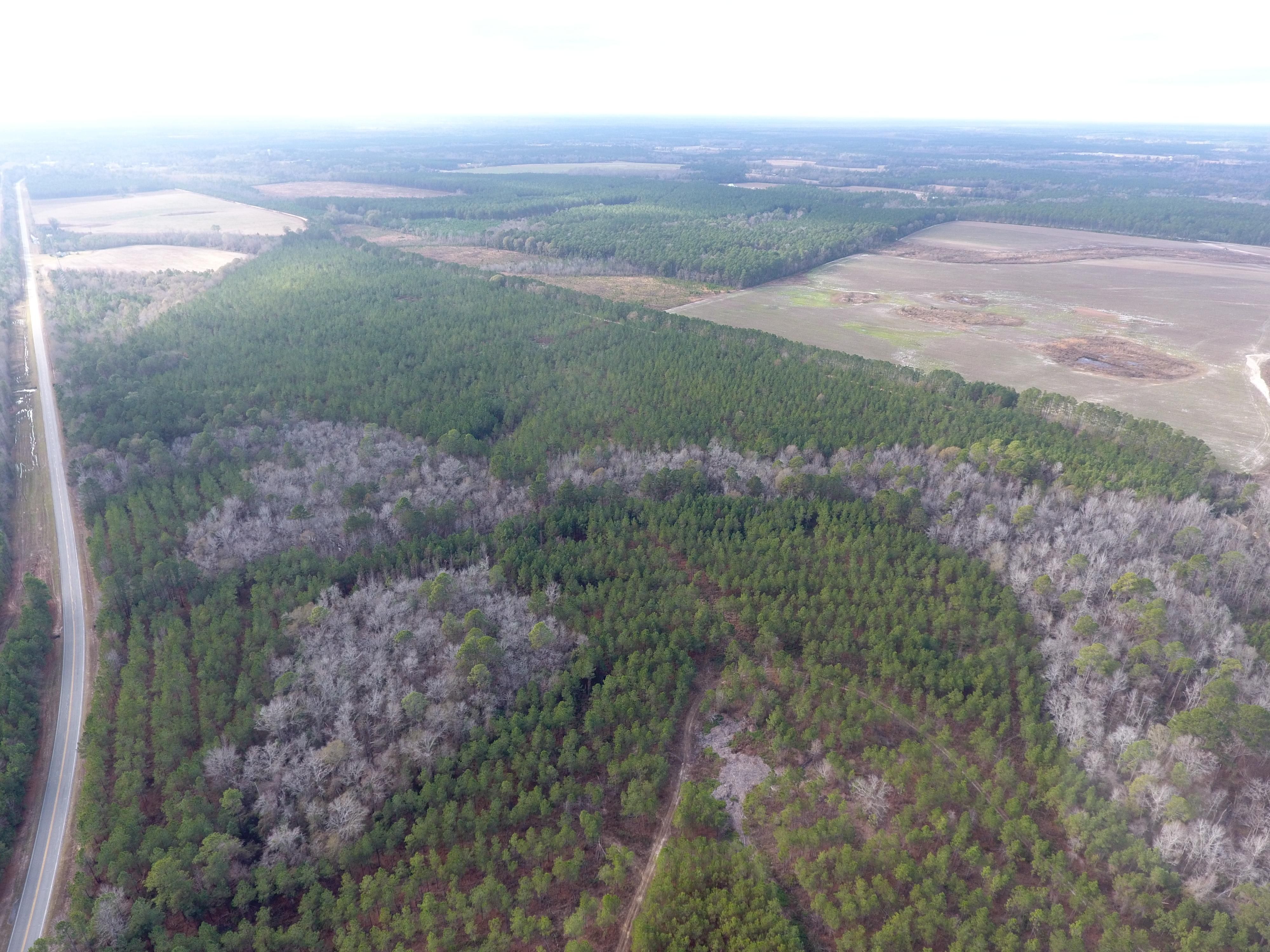 Rhine, Dodge County, GA Recreational Property, Timberland Property ...