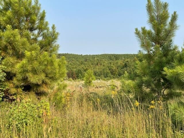 00 Purdy and Carnal Road, Huntingdon, TN 38344 | MLS: 230073 | LandWatch