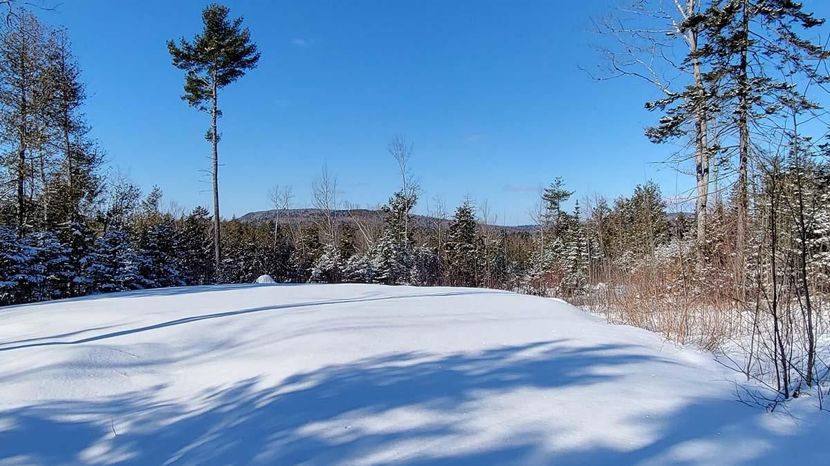 Burlington Beach Road, Burlington, ME 04417 | LandWatch