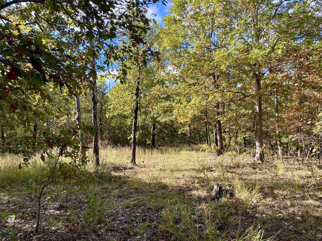 Copperstone Road, Camdenton, MO 65020 | MLS: 22038 | LandWatch