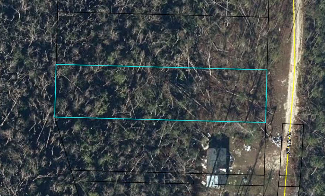 Kinard, Calhoun County, FL Recreational Property, Undeveloped Land ...