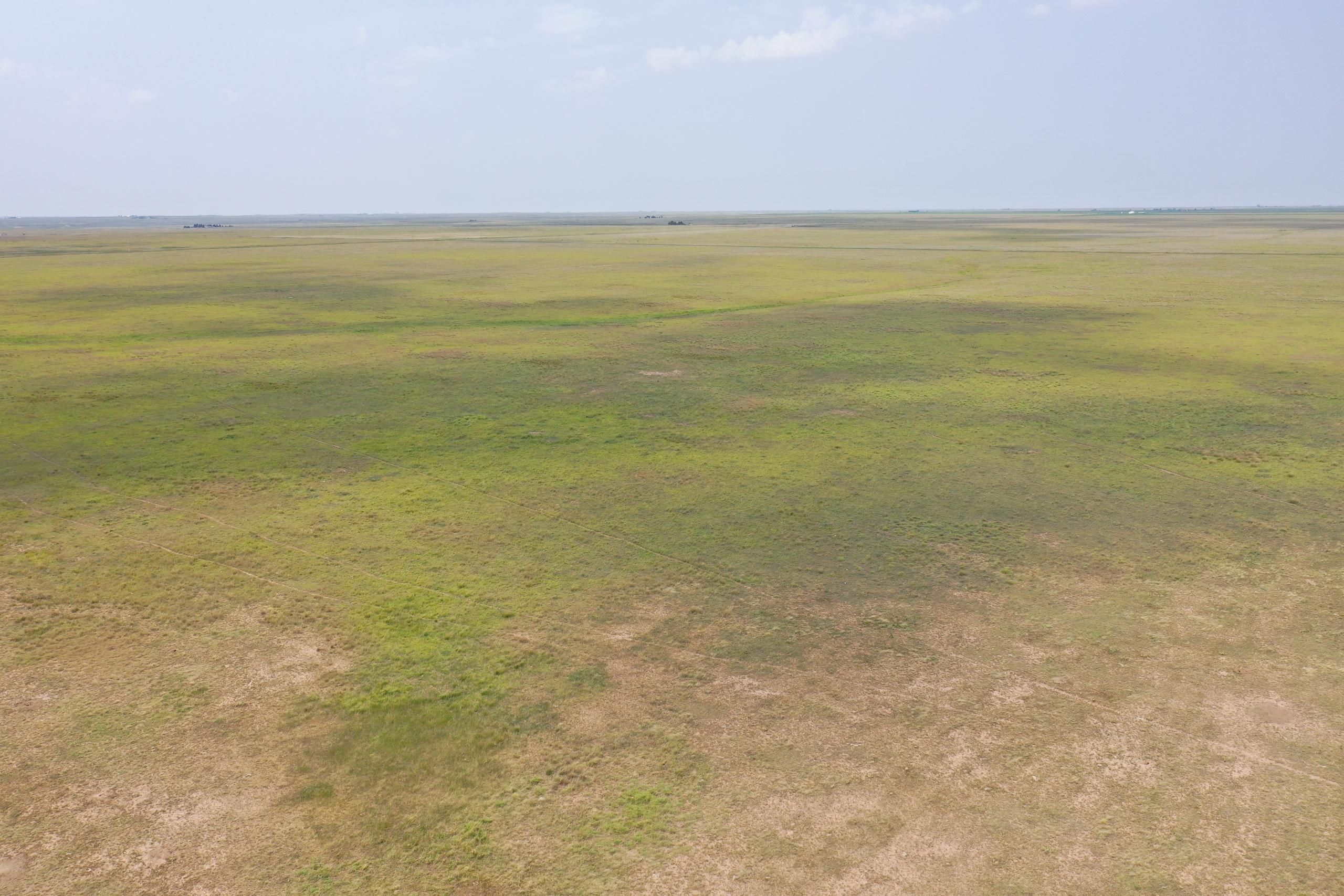 Guymon, Texas County, OK Farms and Ranches, Hunting Property for sale ...