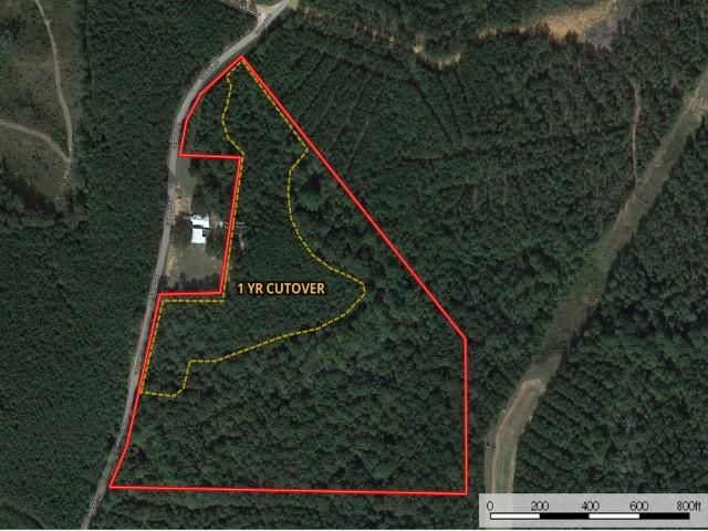 Forest, Scott County, MS Recreational Property, Timberland Property ...
