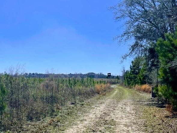 Five Bridges Road, Damascus, GA 39841 | LandWatch