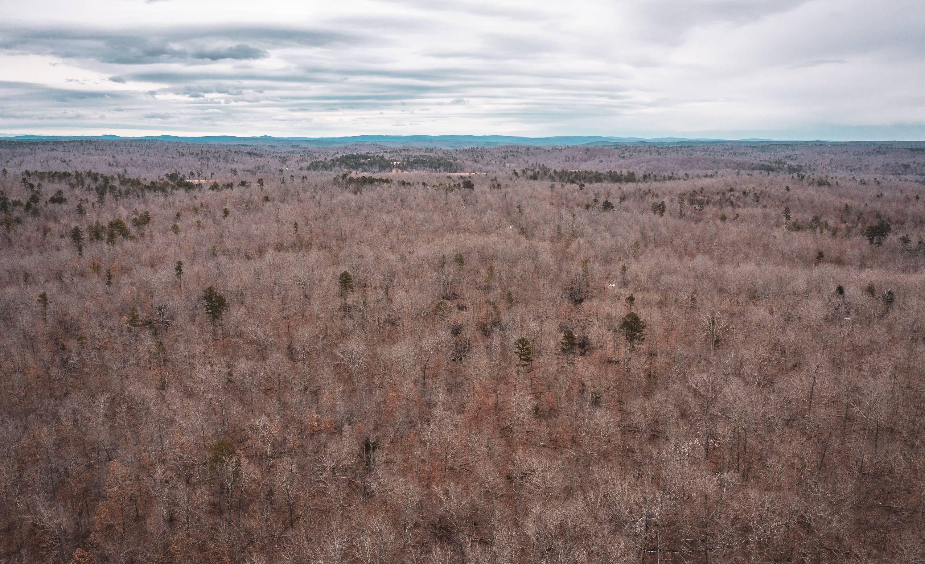 Centerville, Reynolds County, MO Recreational Property, Hunting ...