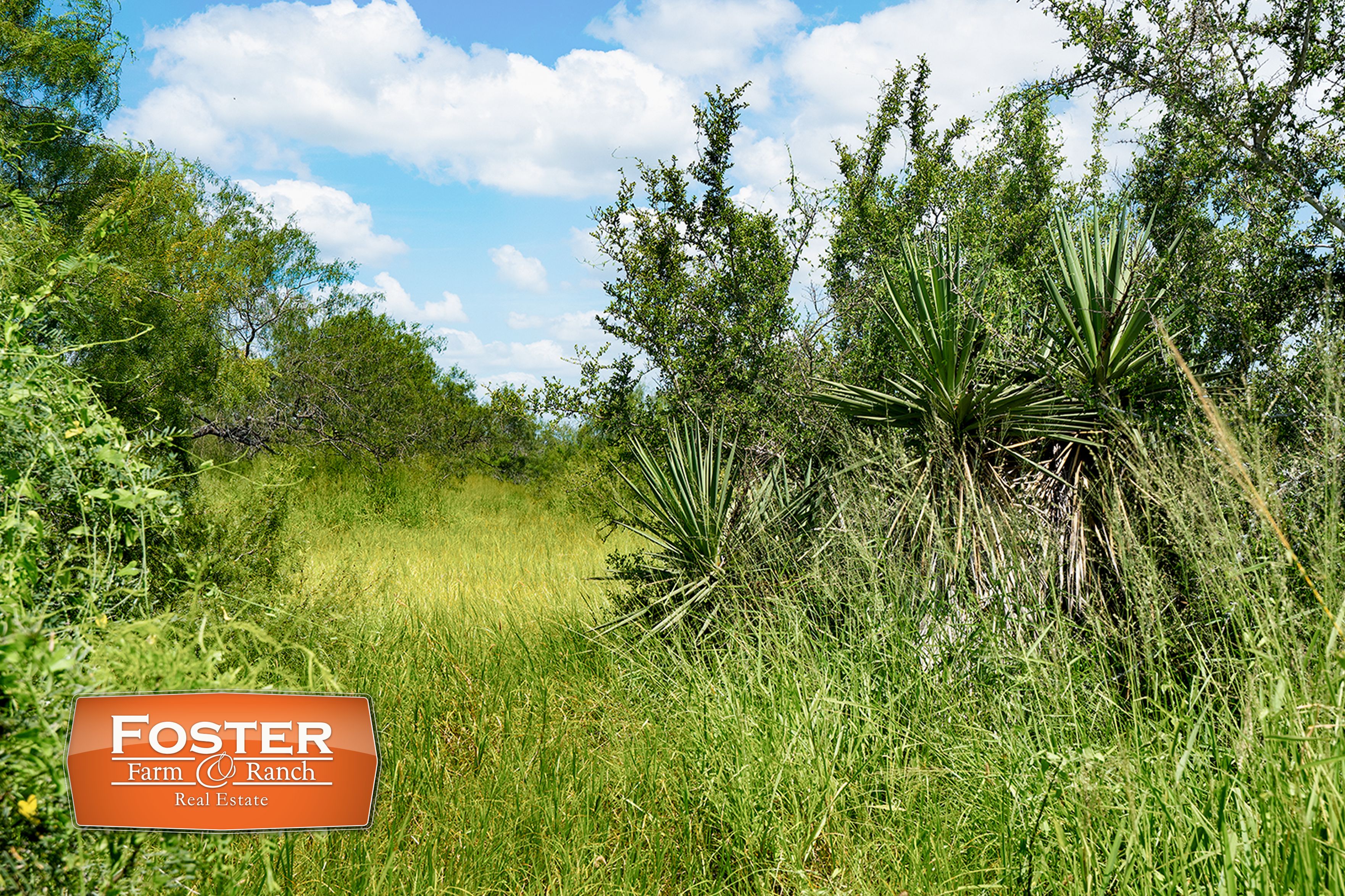 138 acres in Linn, TX, 78563 | LandWatch