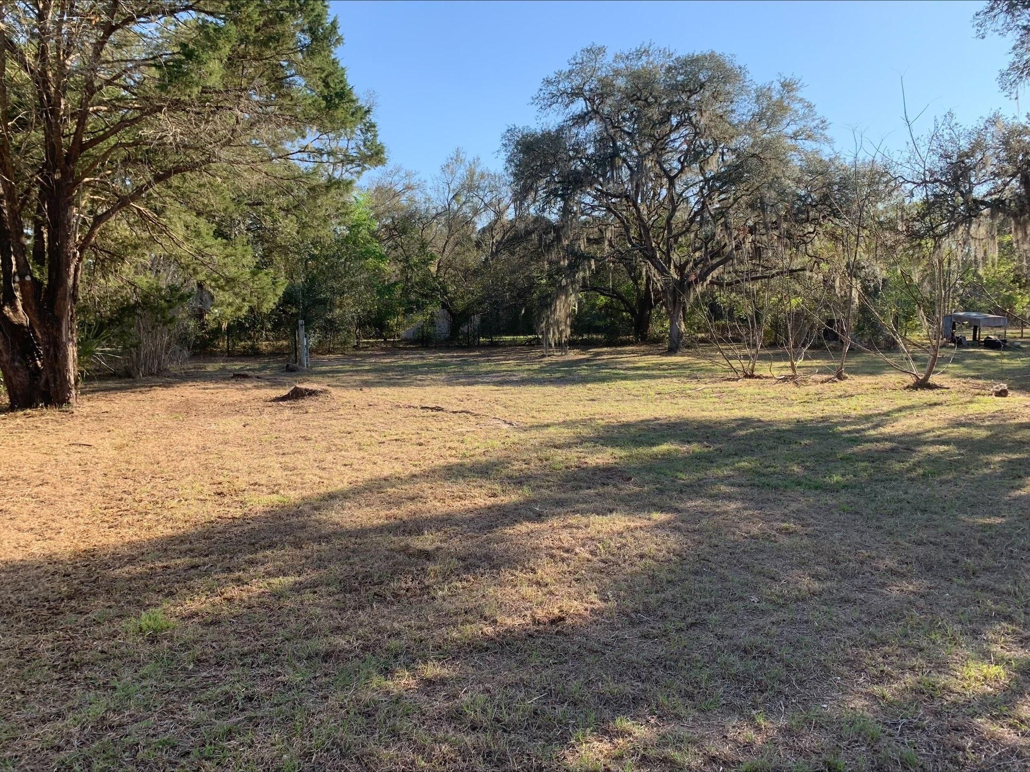 Lecanto, Citrus County, FL Recreational Property, Undeveloped Land ...