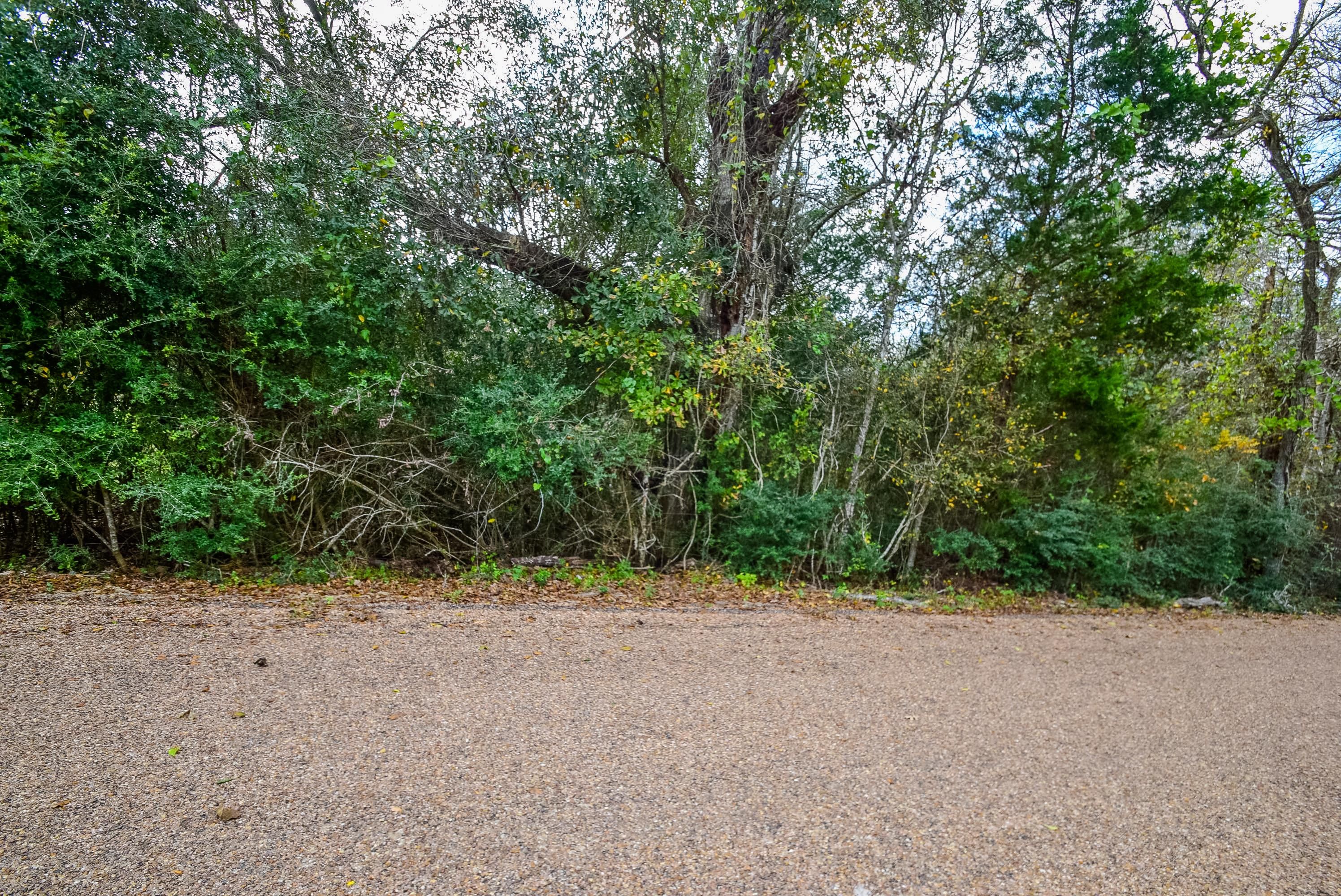 Krischke Rd, Engle, TX 78956 | MLS: 0000 Krischke Rd | LandWatch