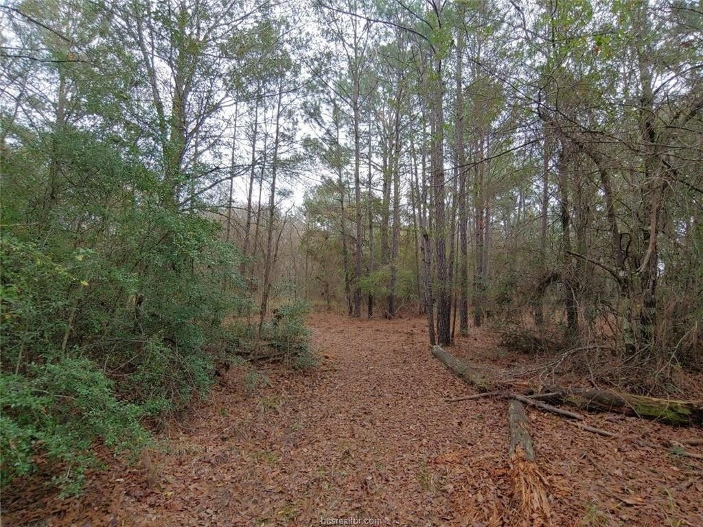 Shiro, Grimes County, TX Farms and Ranches for sale Property ID ...