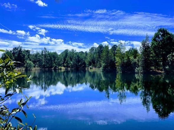 Georgia 19, Lumber City, GA 31549 | LandWatch