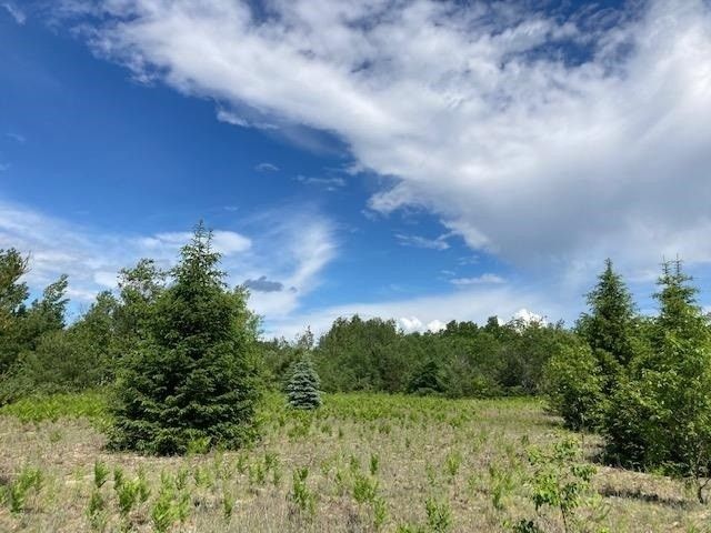 TBD ZIPF, Pellston, MI 49769 | MLS: 464209 | LandWatch