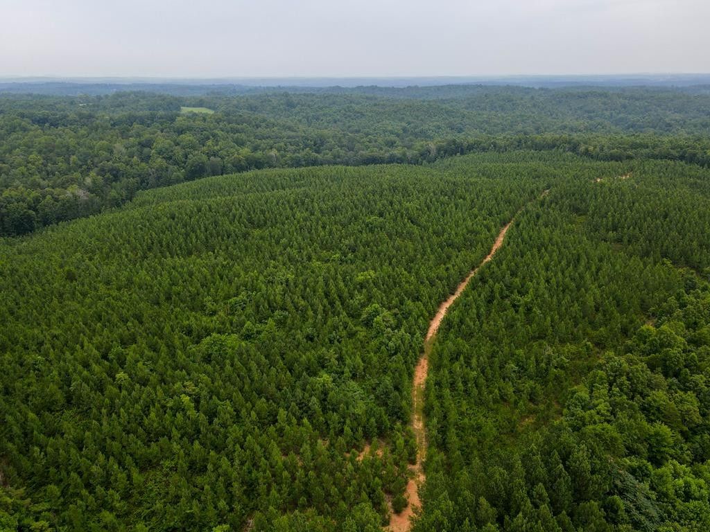 Stuart, Patrick County, VA Undeveloped Land for sale Property ID ...