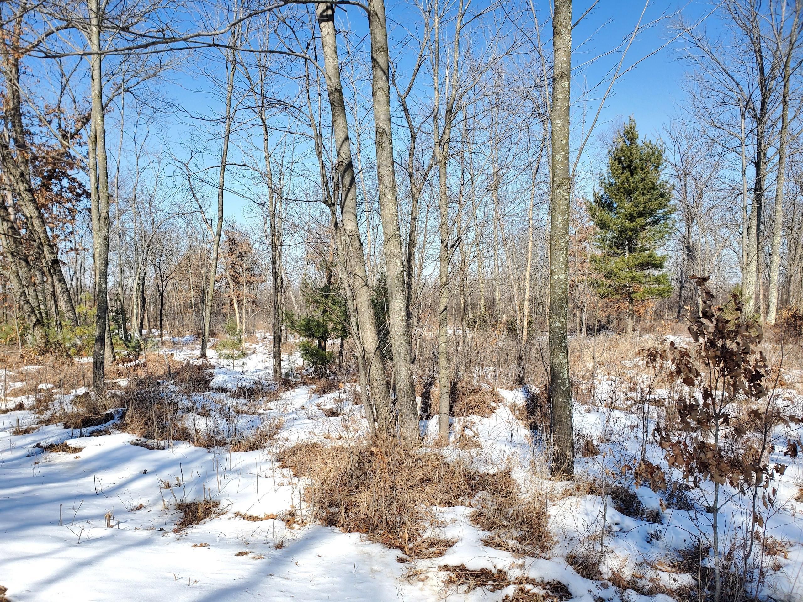 Friendship, Adams County, WI Recreational Property, Hunting Property ...