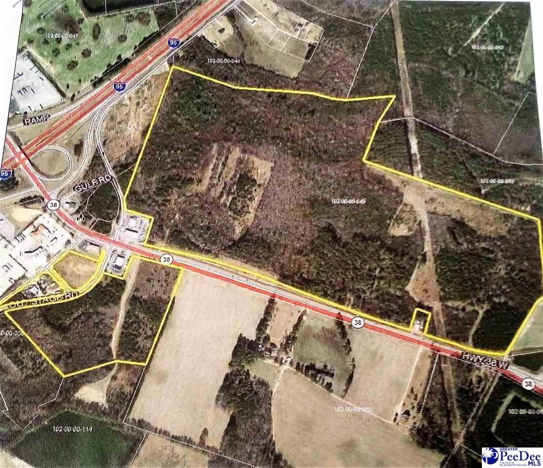 TBD Highway 38, Latta, SC 29536 | MLS: 20194400 | LandWatch