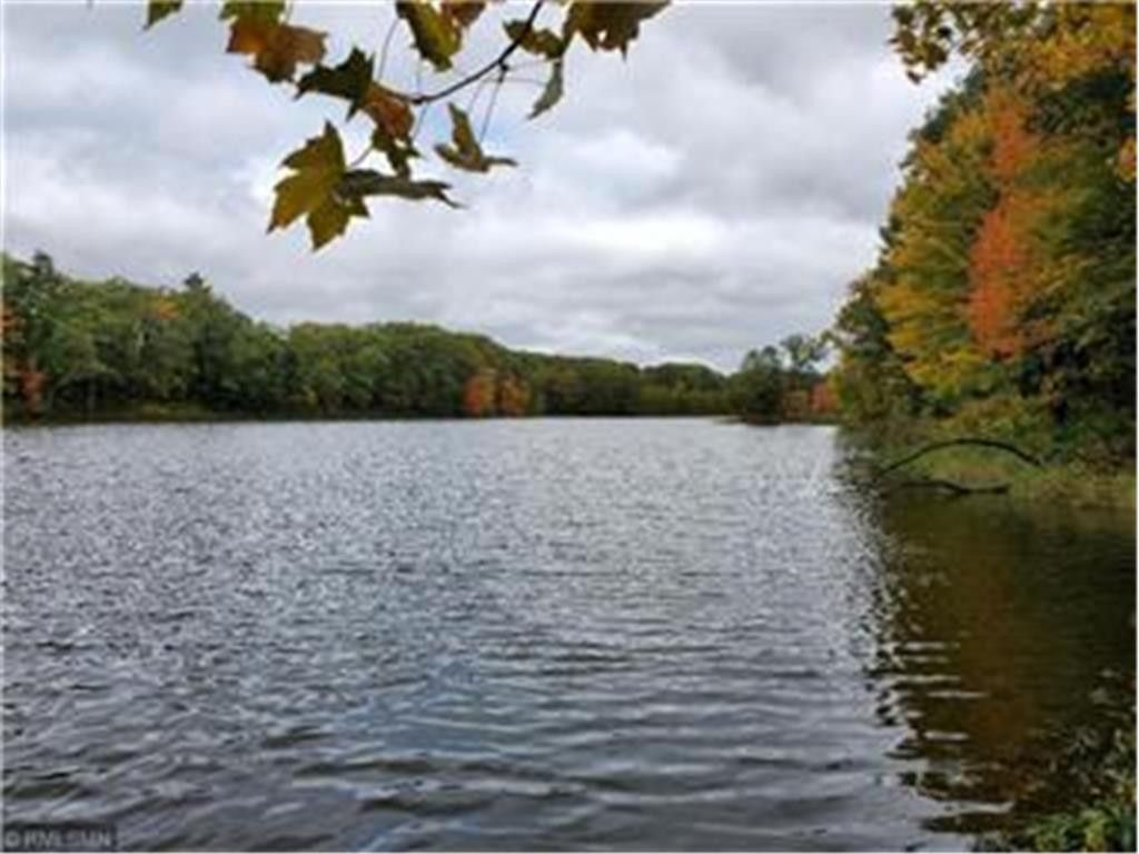 300th Avenue, Frederic, WI 54837 | MLS: 6145916 | LandWatch