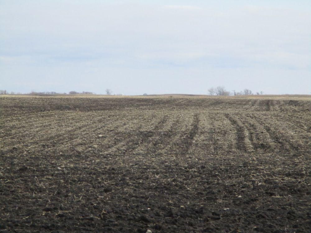 Sharon, Steele County, ND Farms and Ranches for auction Property ID ...