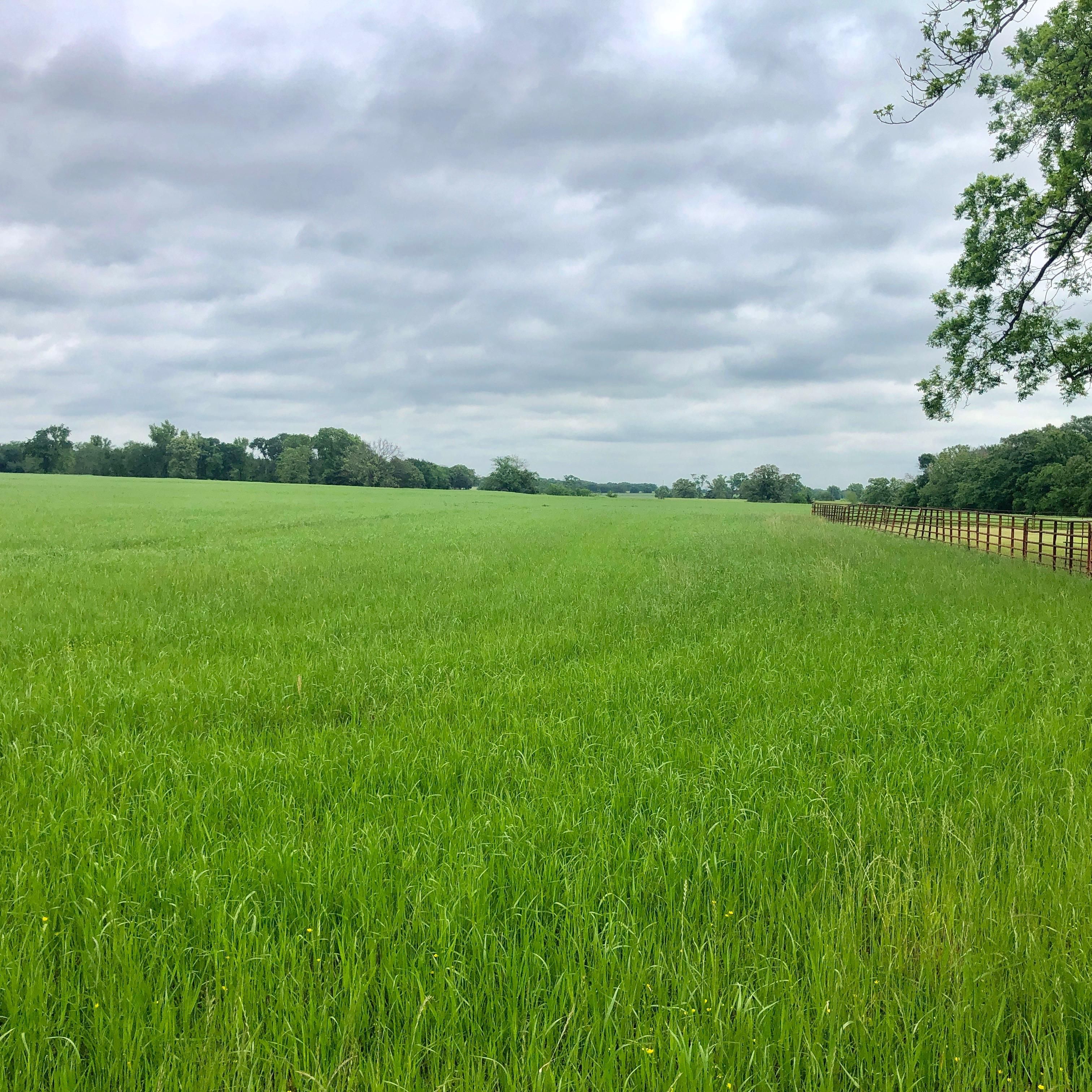 Pickton, Hopkins County, TX Farms and Ranches, Recreational Property ...