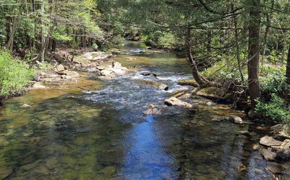 Bracken Creek Road, Nallen, WV 26680 | MLS: MEADOW RIVER TRAIL | LandWatch