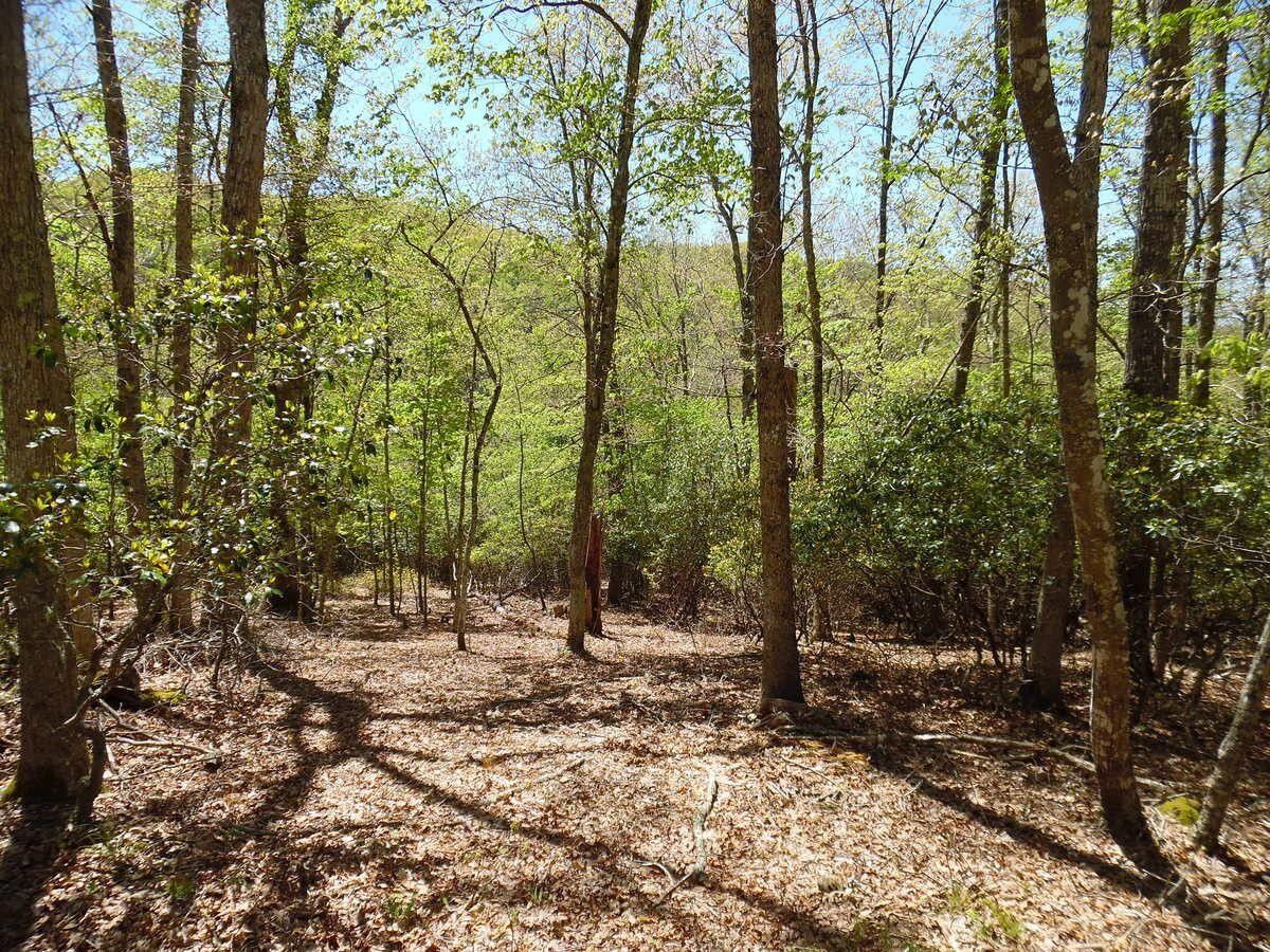 Buckeye, Pocahontas County, WV Undeveloped Land, Homesites for sale ...