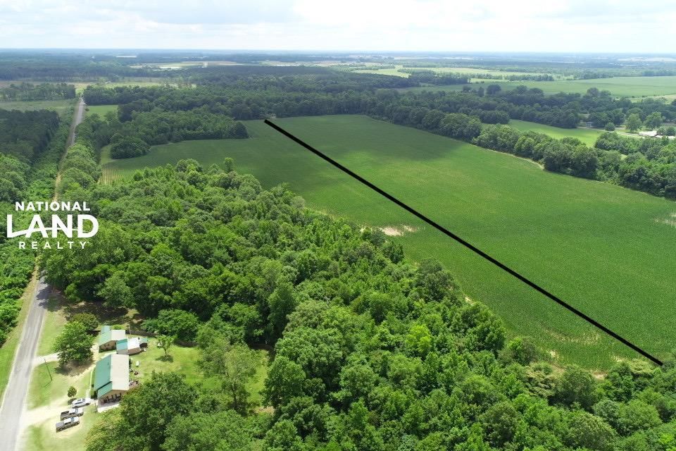 42 acres in Newbern, AL, 36765 | LandWatch