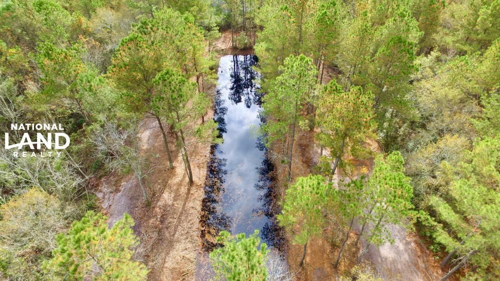 Ammon, Bladen County, NC Recreational Property, Timberland Property ...