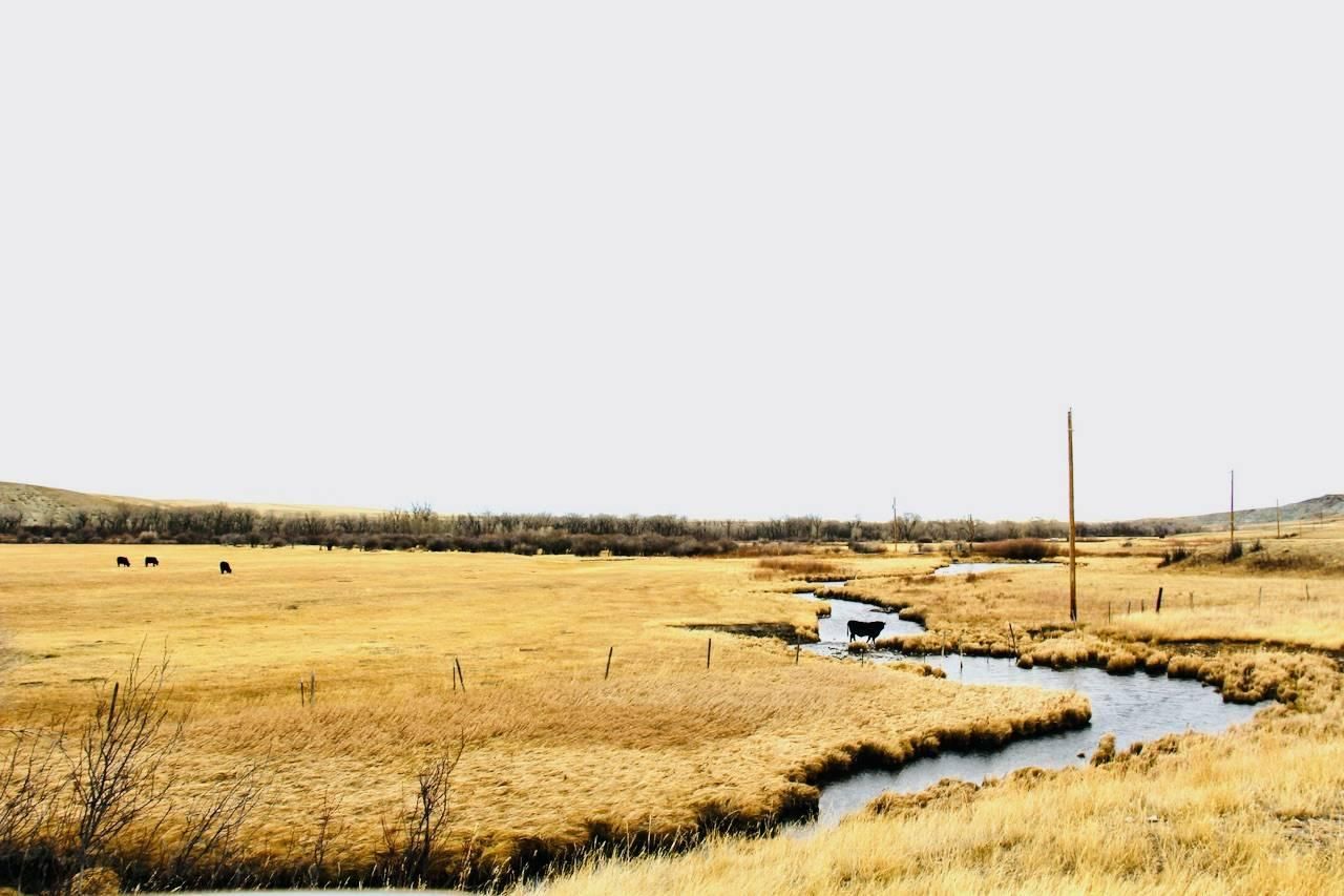 0 Highway 89, Valier, MT 59486 | LandWatch