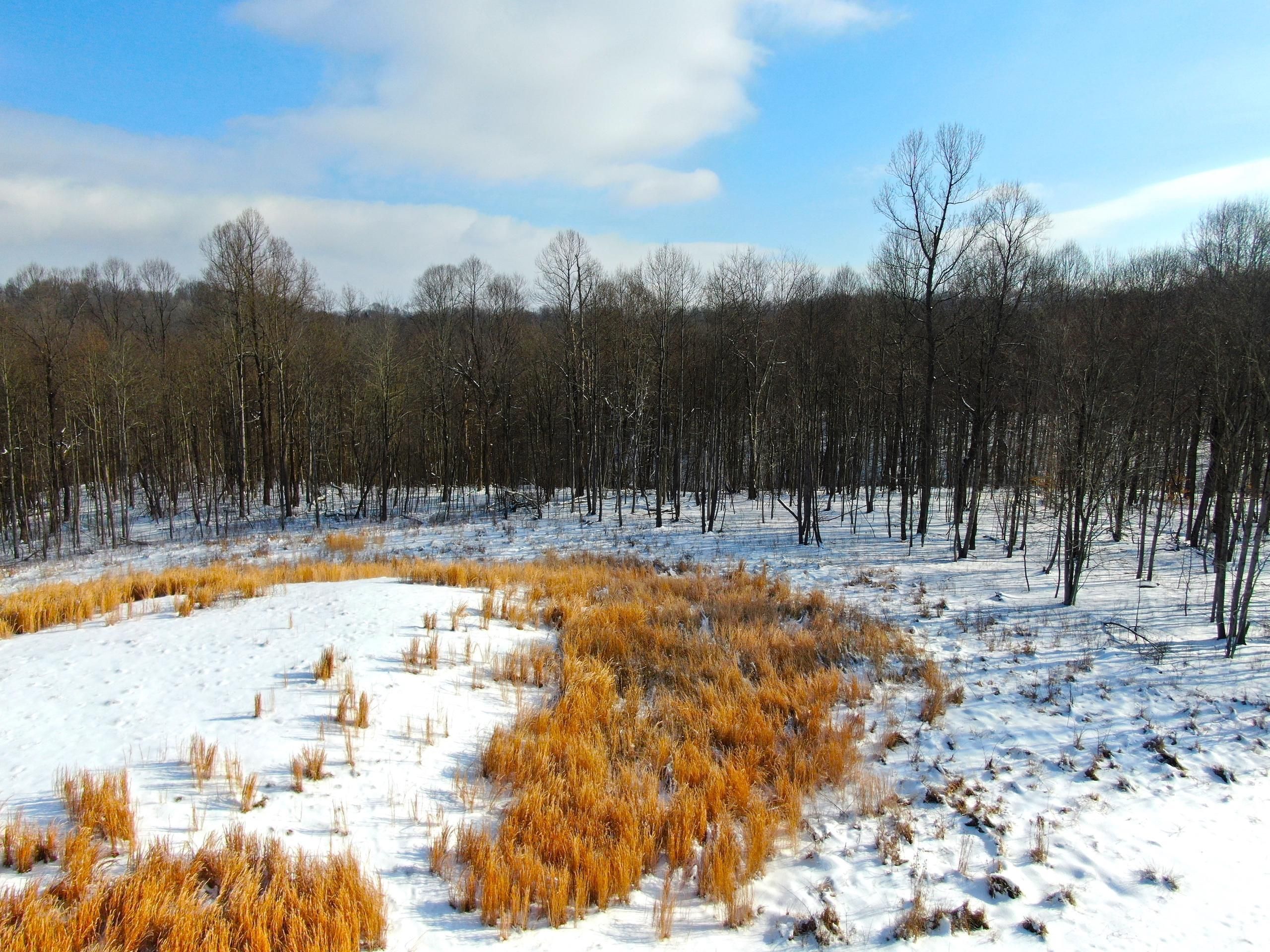 Proctor, Marshall County, WV Recreational Property, Hunting Property ...