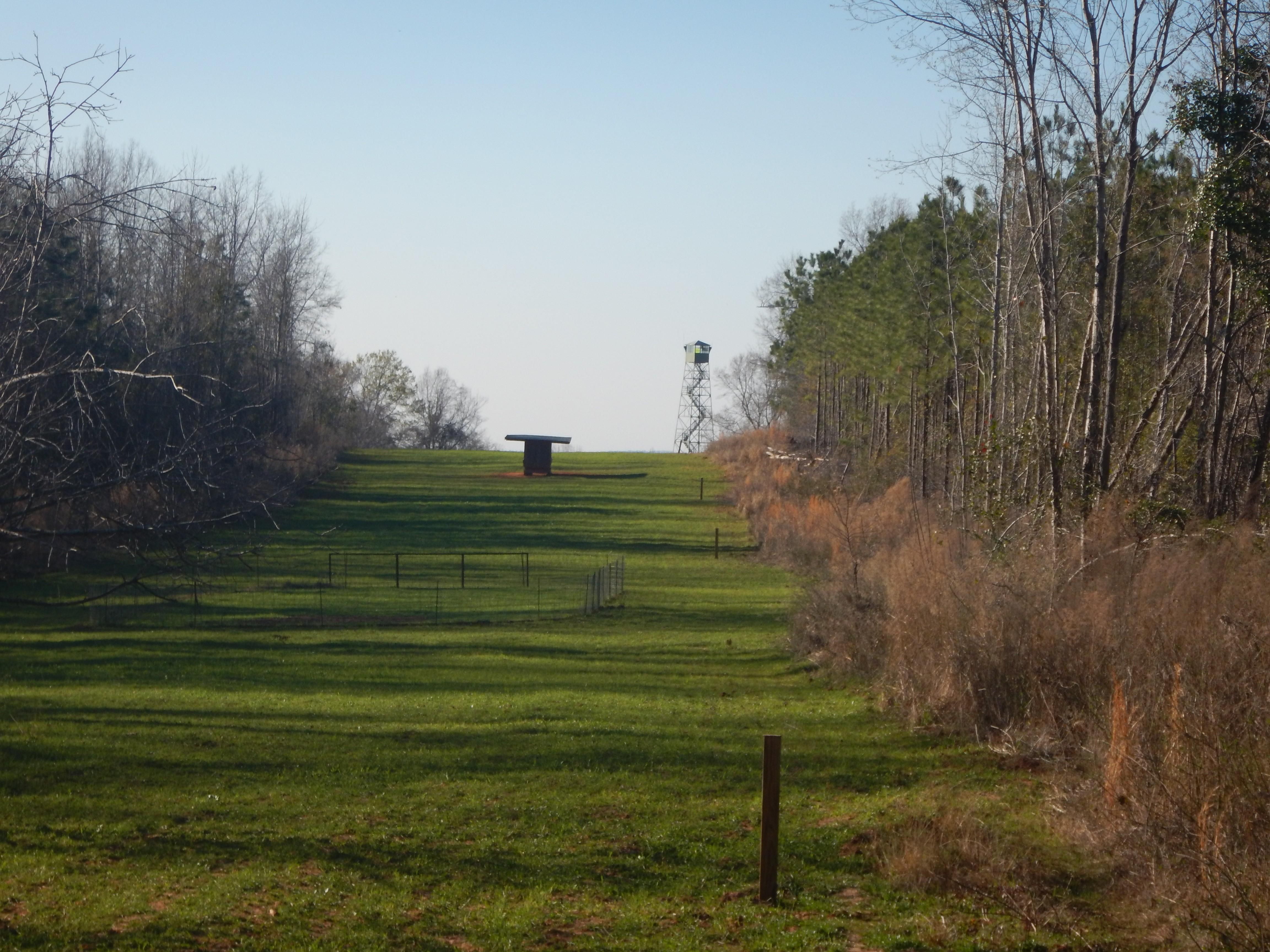 515.23 acres in Wedgefield, SC, 29168 | LandWatch
