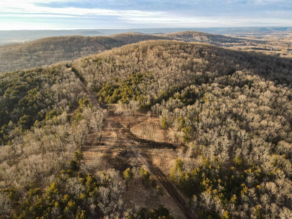 Jenkins, Barry County, MO Recreational Property, Timberland Property ...