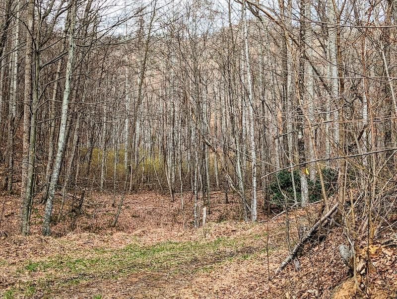 Callaway, Franklin County, VA Recreational Property, Hunting Property ...