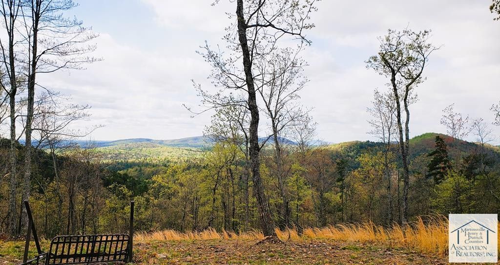 Stuart, Patrick County, VA Undeveloped Land for sale Property ID ...