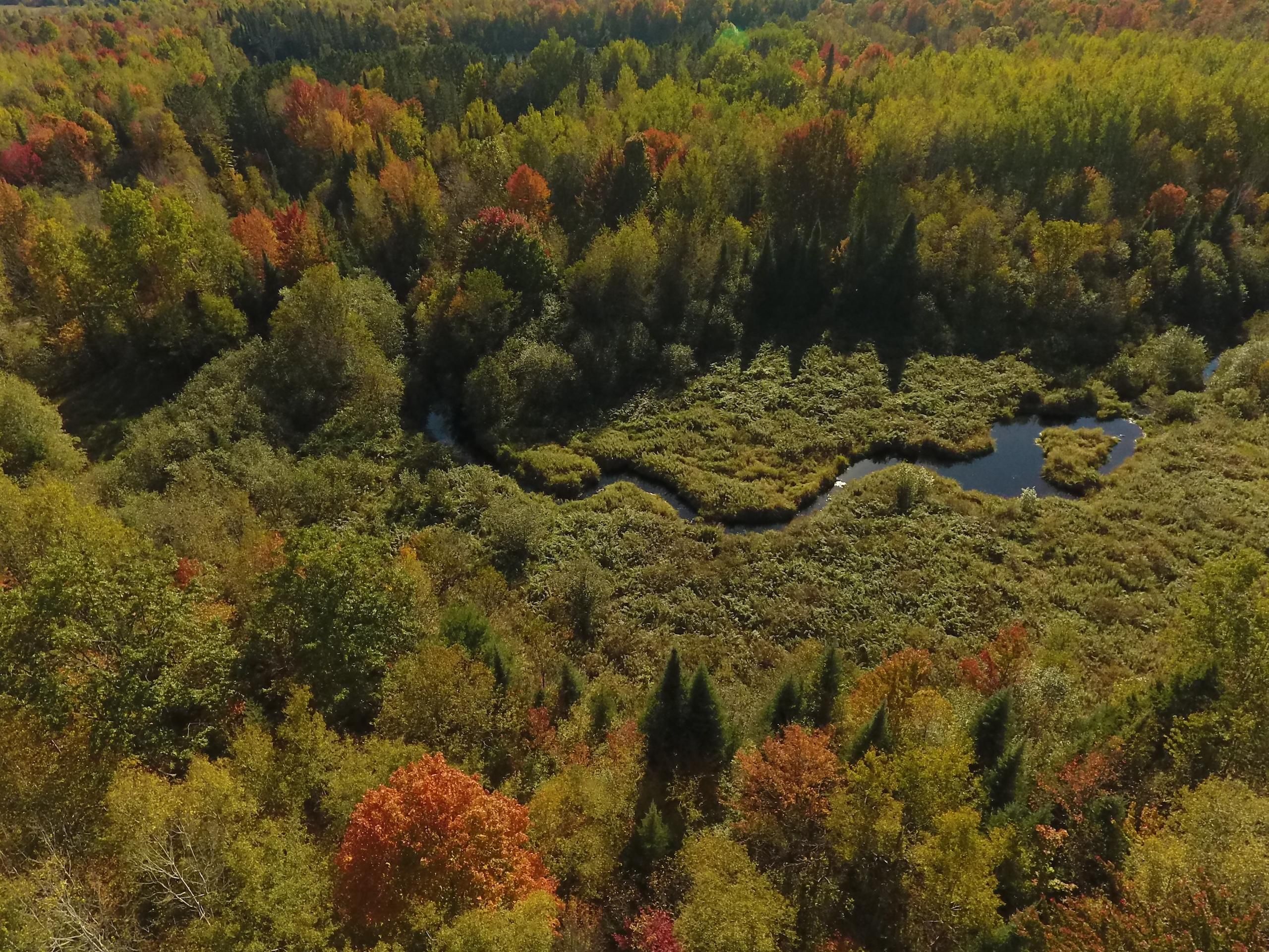 Brantwood Ave, Brantwood, WI 54513 | LandWatch