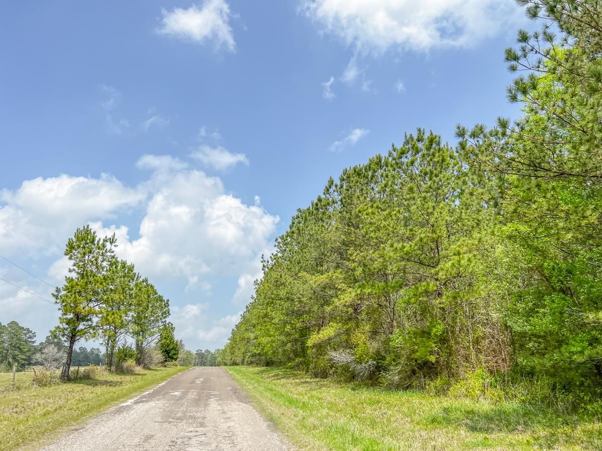 Morrell Road, Chester, TX 75936 | LandWatch