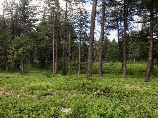 Wellpinit, Stevens County, WA Undeveloped Land for sale Property ID ...