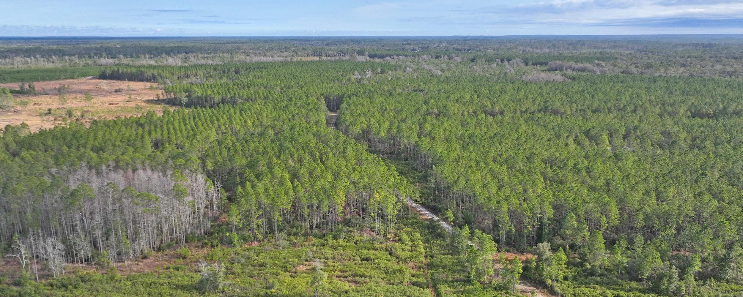 Citra, Marion County, FL Recreational Property, Timberland Property ...