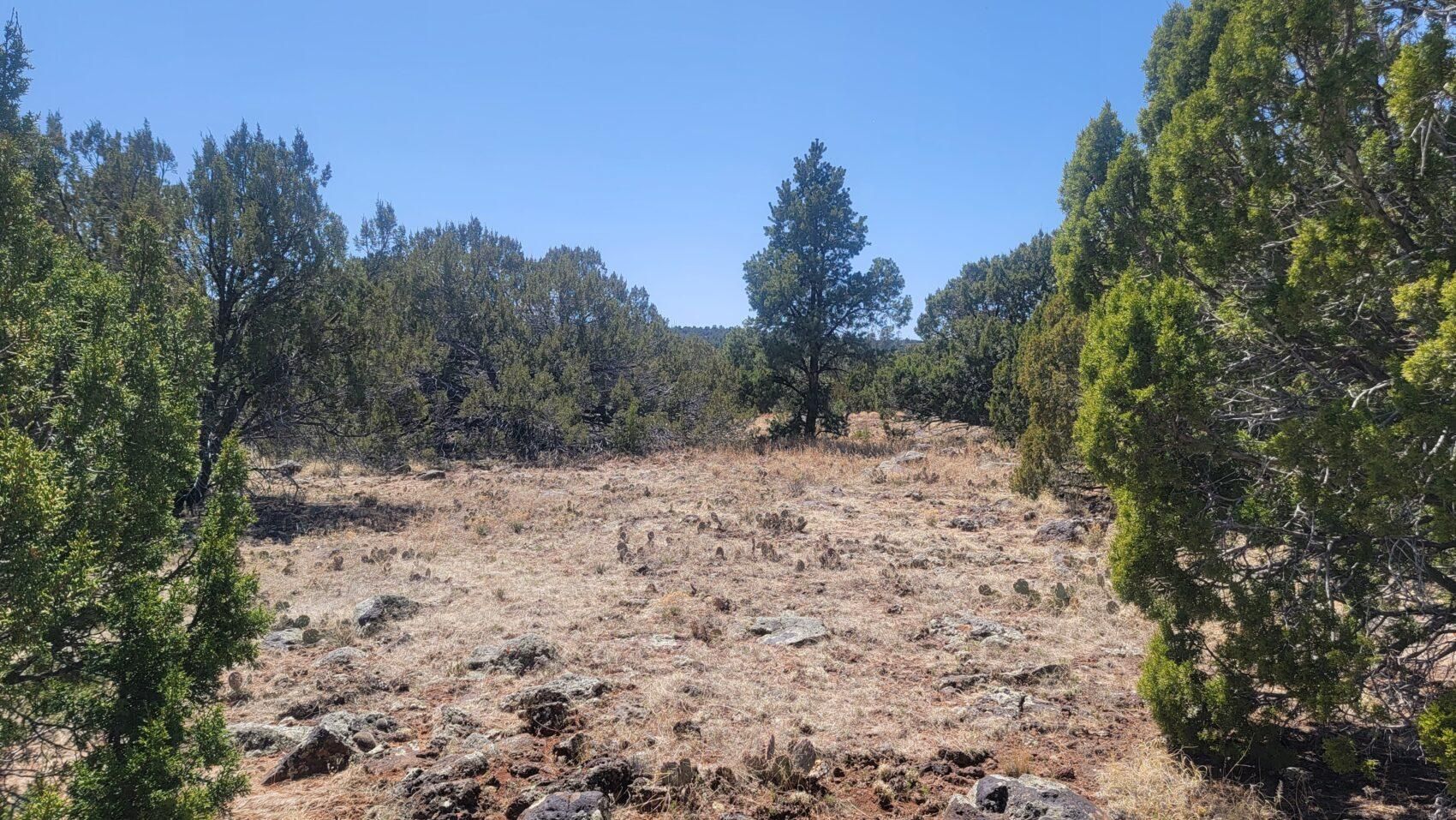 Concho, Apache County, AZ Recreational Property, Hunting Property ...
