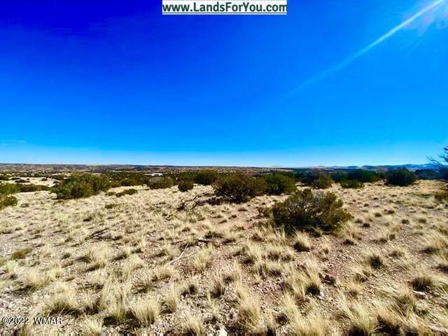1.11 acres in Concho, AZ, 85924 | LandWatch