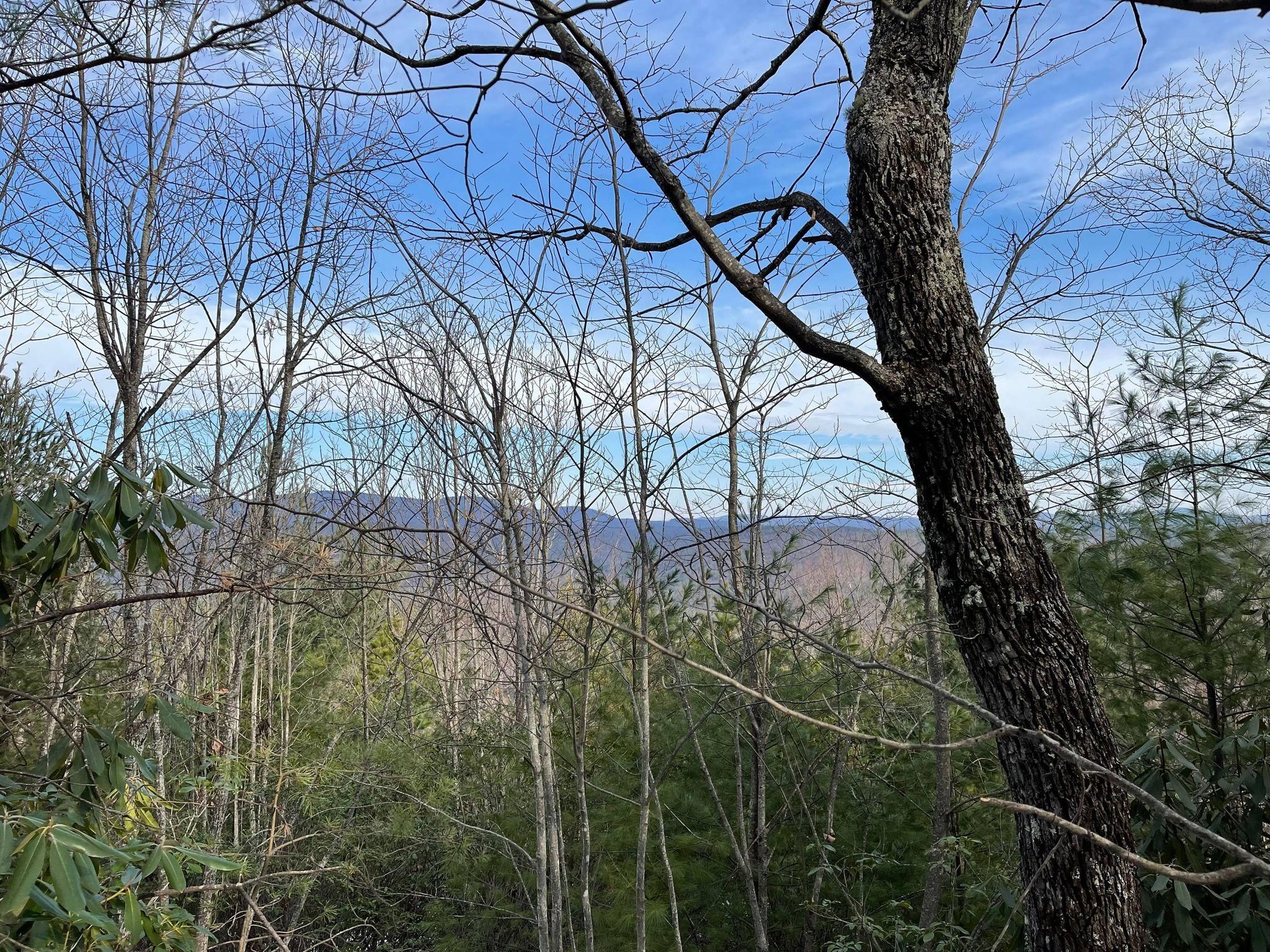 Purlear, Wilkes County, NC Recreational Property, Undeveloped Land for ...