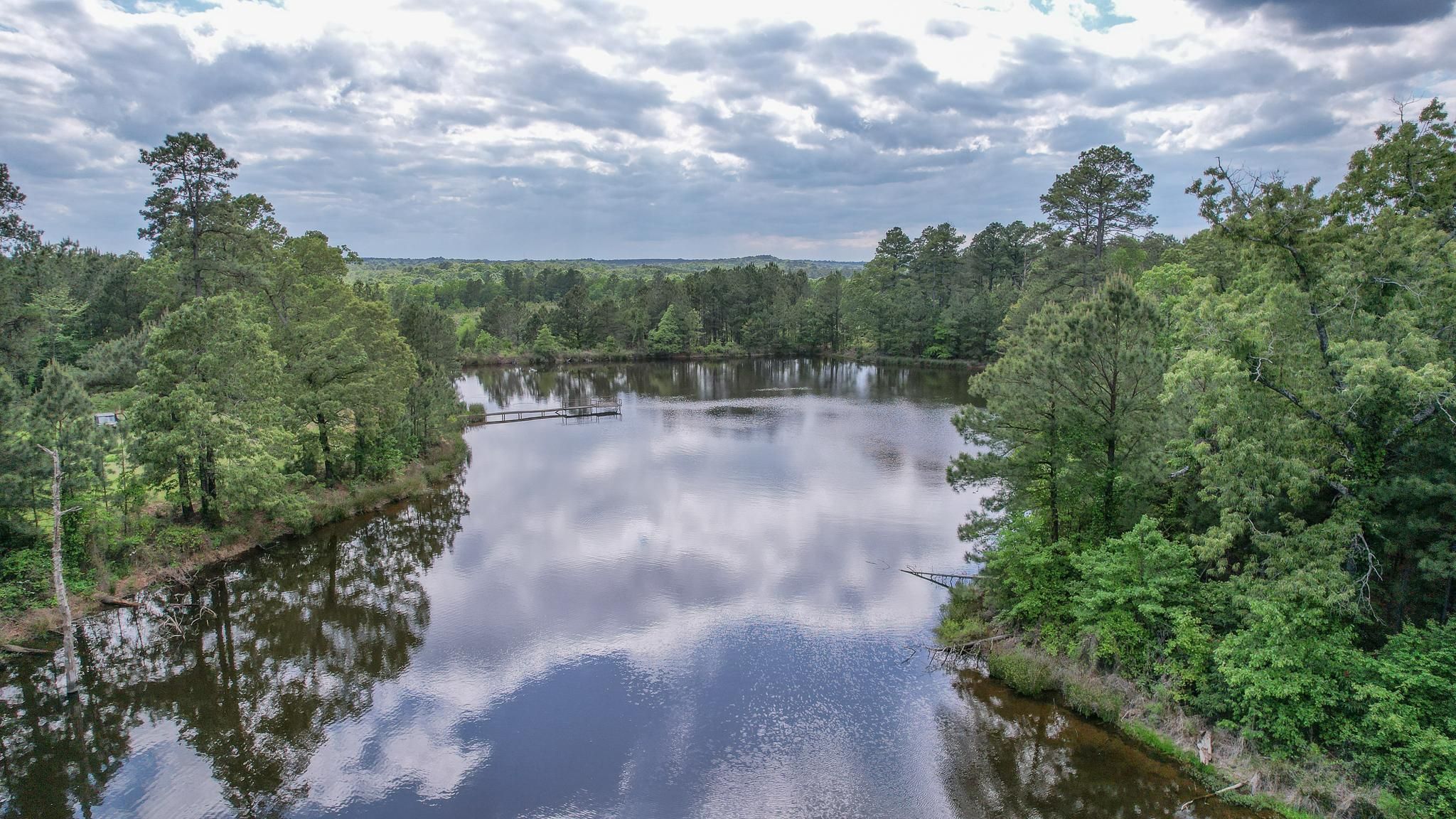 558.04 acres in Naples, TX, 75568 | MLS: Great Hunting and Recreation ...