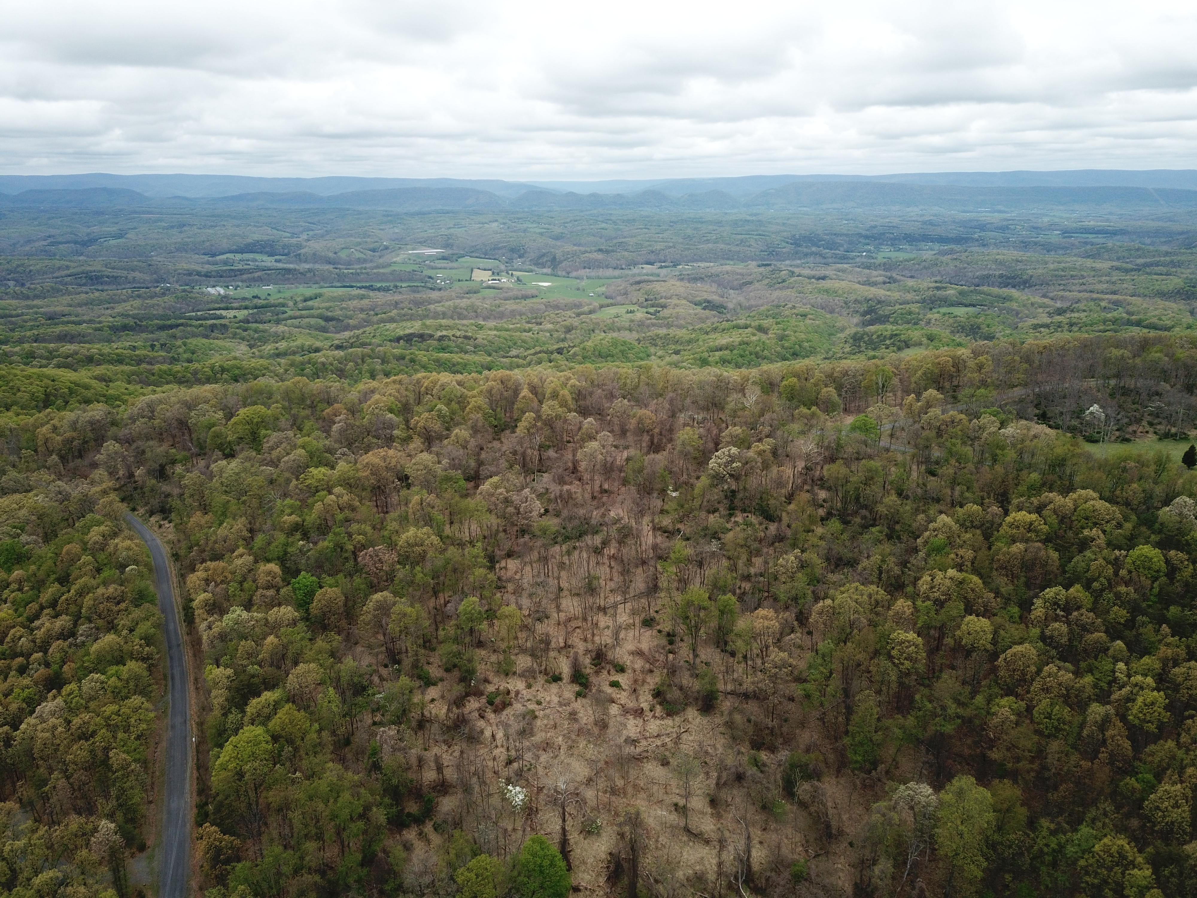 Harmison's Bluff Point, Romney, WV 26757 | MLS: WVHS2001756 | LandWatch