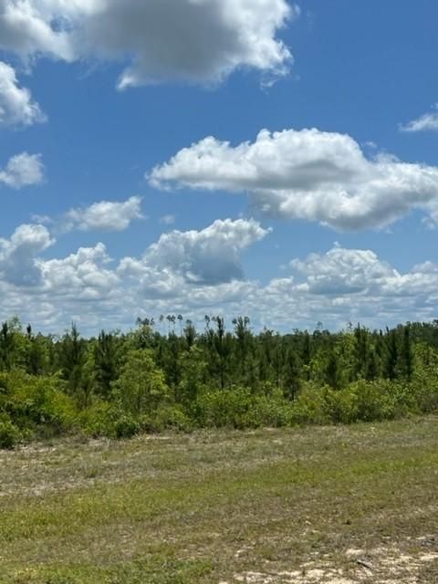 695 acres in Kinard, FL, 32449 | LandWatch