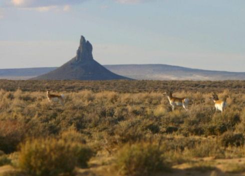 40 acres in Wamsutter, WY, 82336 | LandWatch