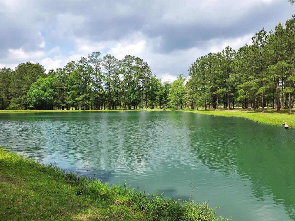 2455 County Road 2650, Chester, TX 75936 | LandWatch