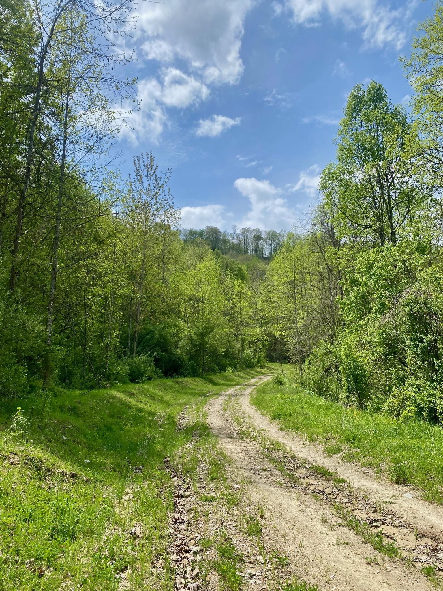 1 KY-30, Jackson, KY 41339 | LandWatch